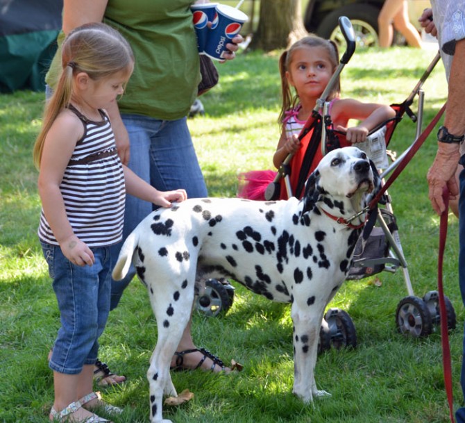 Southern Oregon Kennel Club